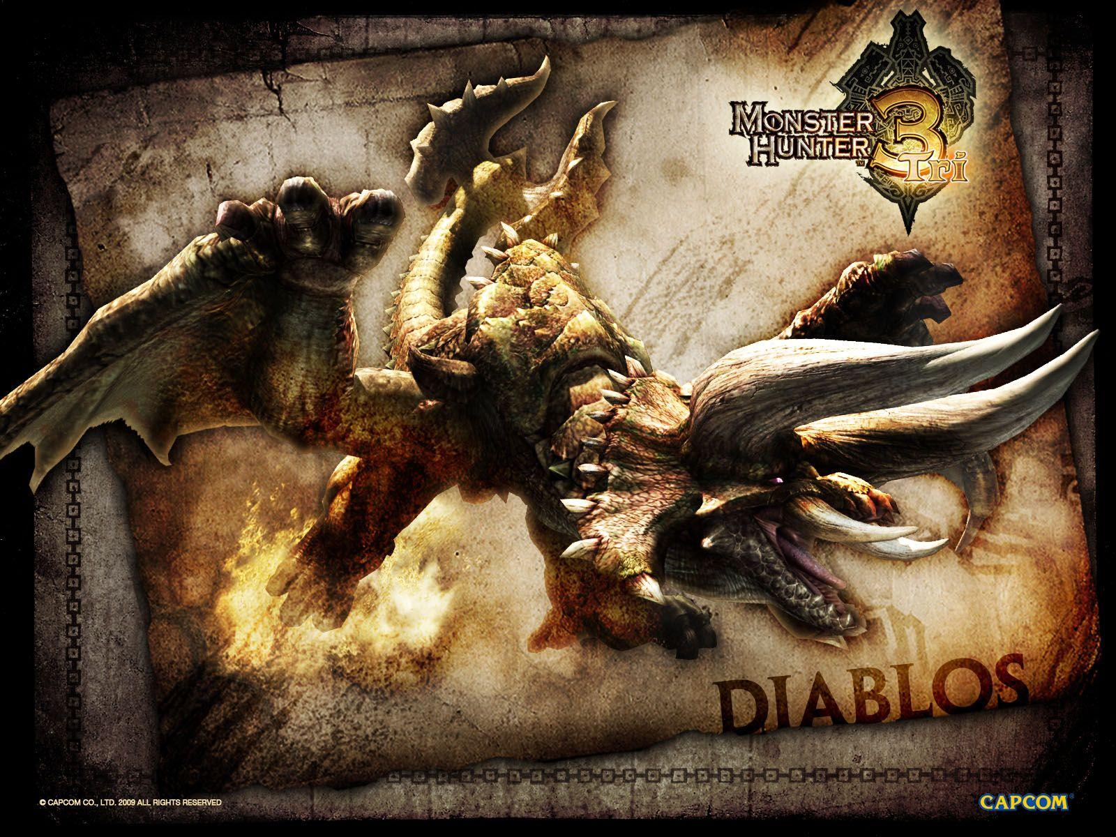 Monster Hunter Tri Wallpapers - Top Free Monster Hunter Tri Backgrounds ...