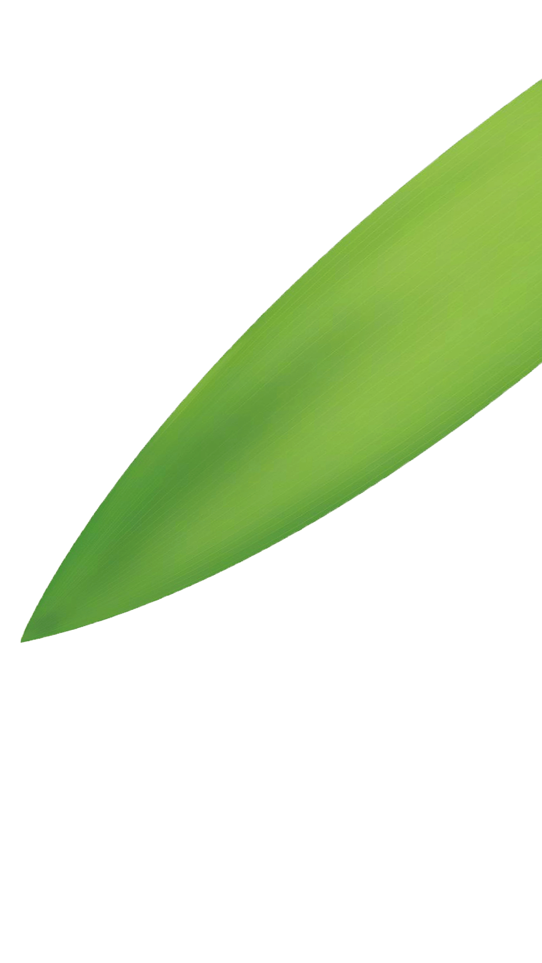 Oppo R9S Wallpapers - Top Free Oppo R9S Backgrounds - WallpaperAccess