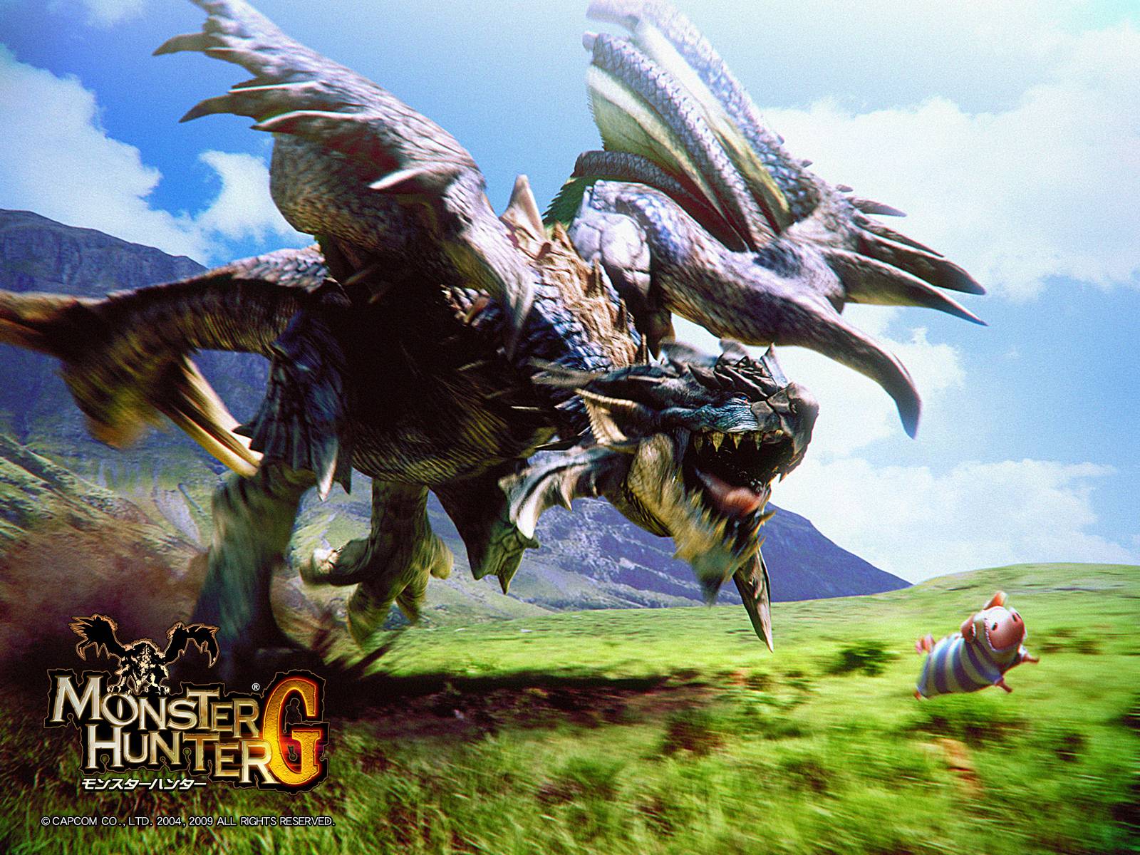 Monster Hunter Tri Wallpapers - Top Free Monster Hunter Tri Backgrounds ...