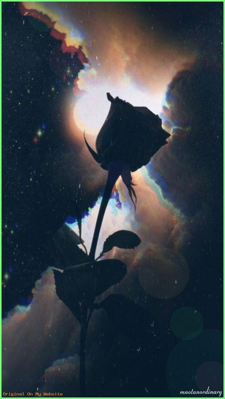 Dark Roses Aesthetic Wallpapers - Top Free Dark Roses Aesthetic ...