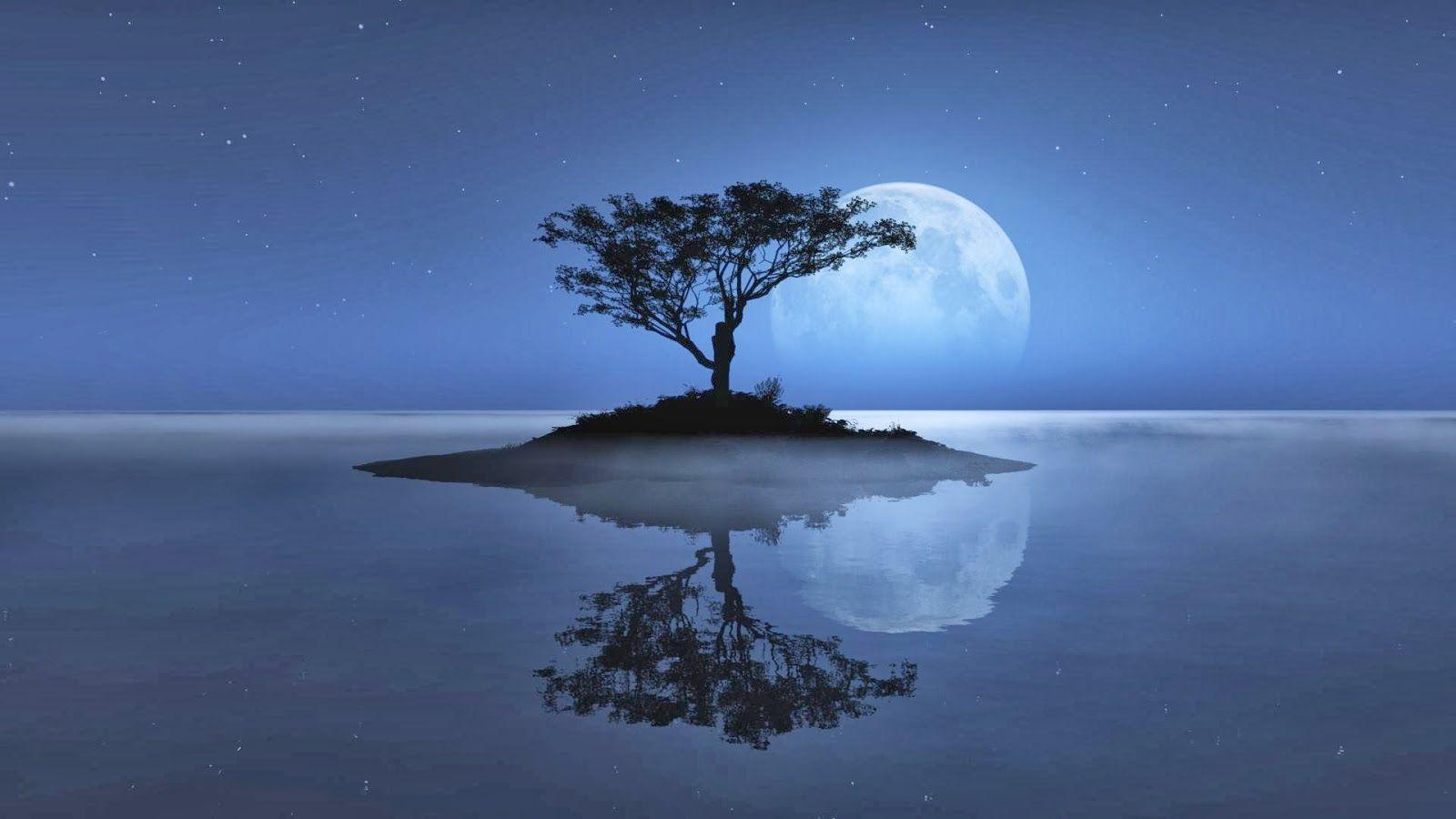 Nature Night HD Wallpapers - Top Free Nature Night HD Backgrounds ...