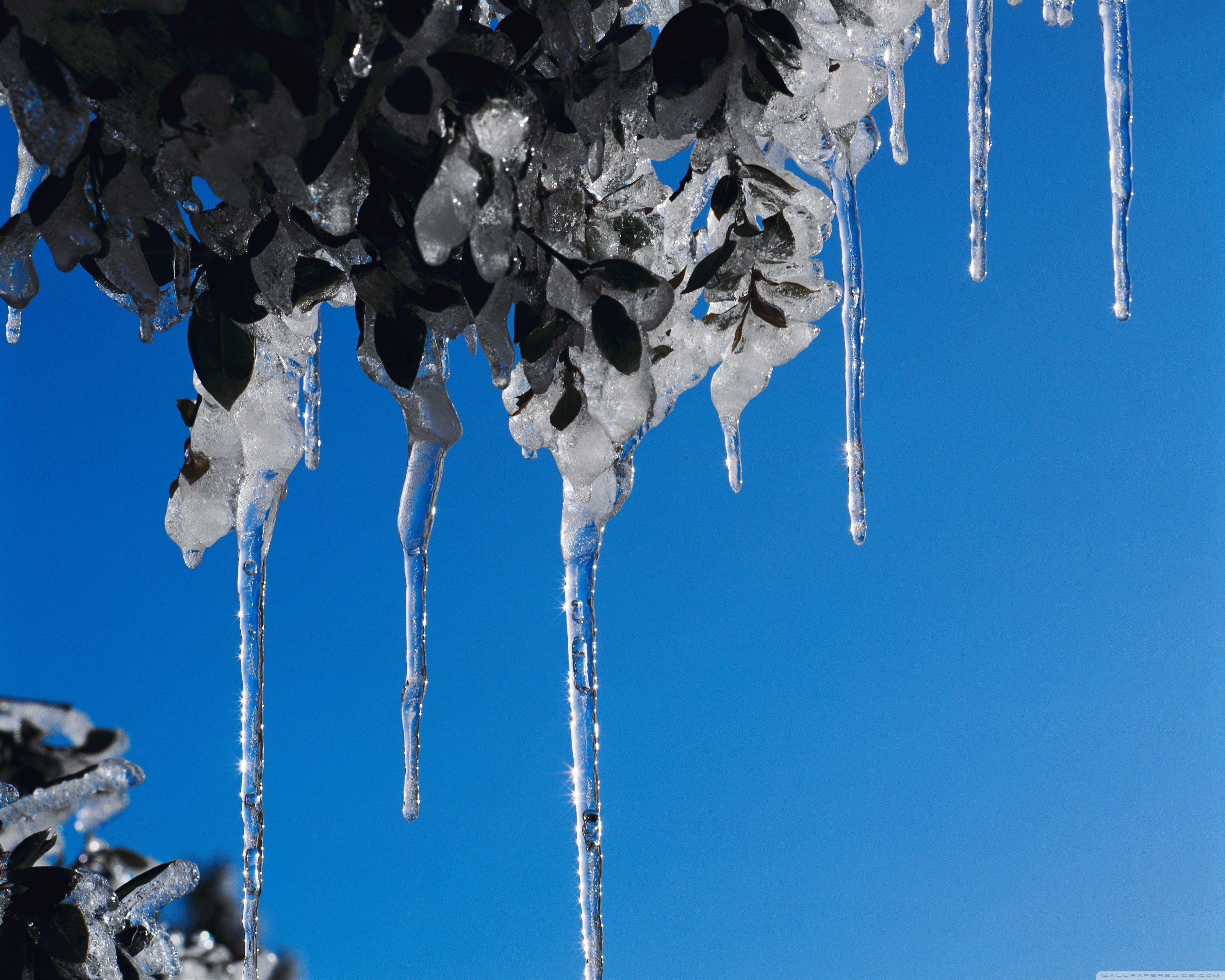 Icicle Wallpapers - Top Free Icicle Backgrounds - WallpaperAccess