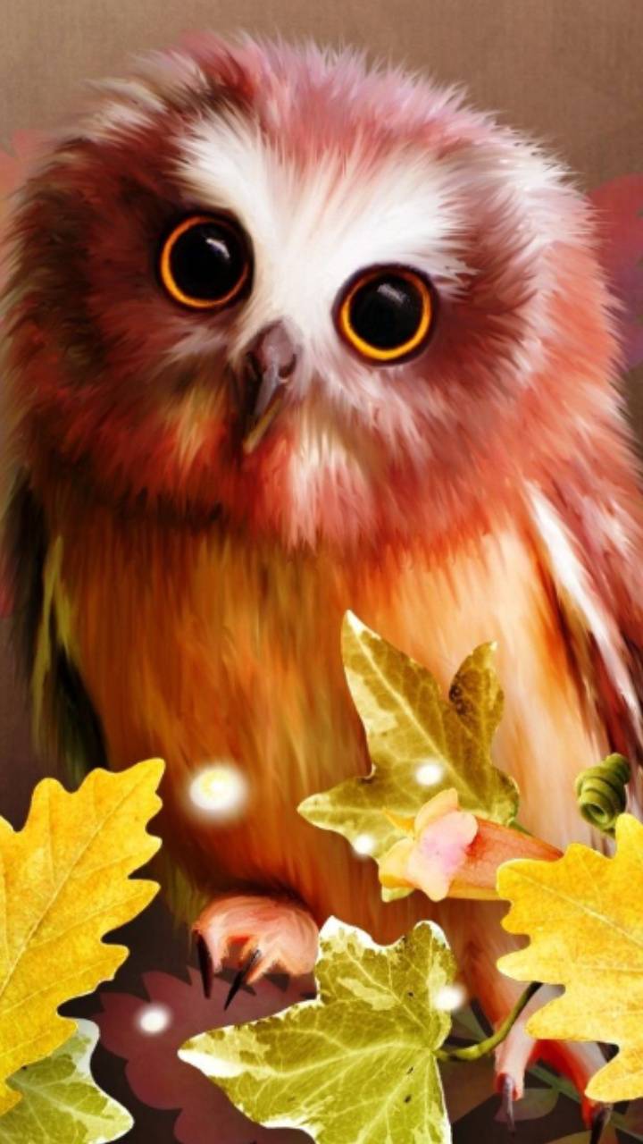 Fall Owls Wallpapers - Top Free Fall Owls Backgrounds - WallpaperAccess