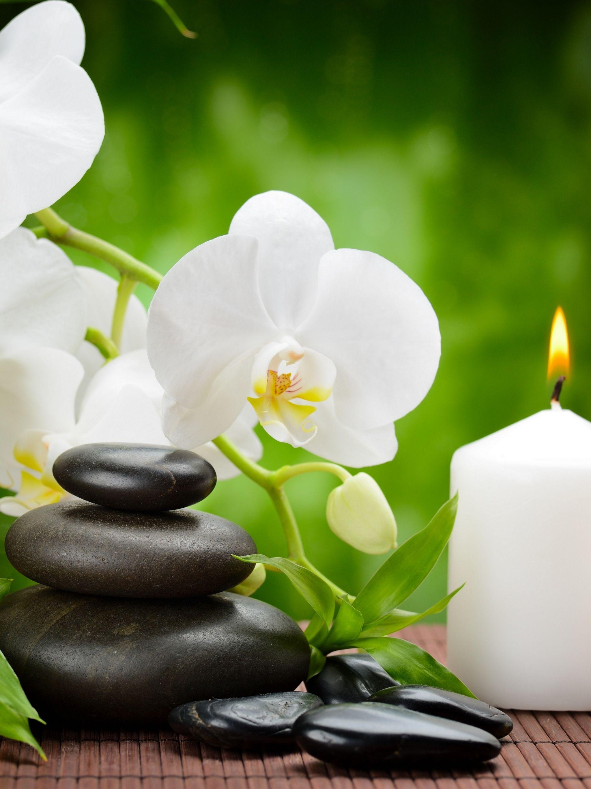Zen Spa Wallpapers - Top Free Zen Spa Backgrounds - WallpaperAccess