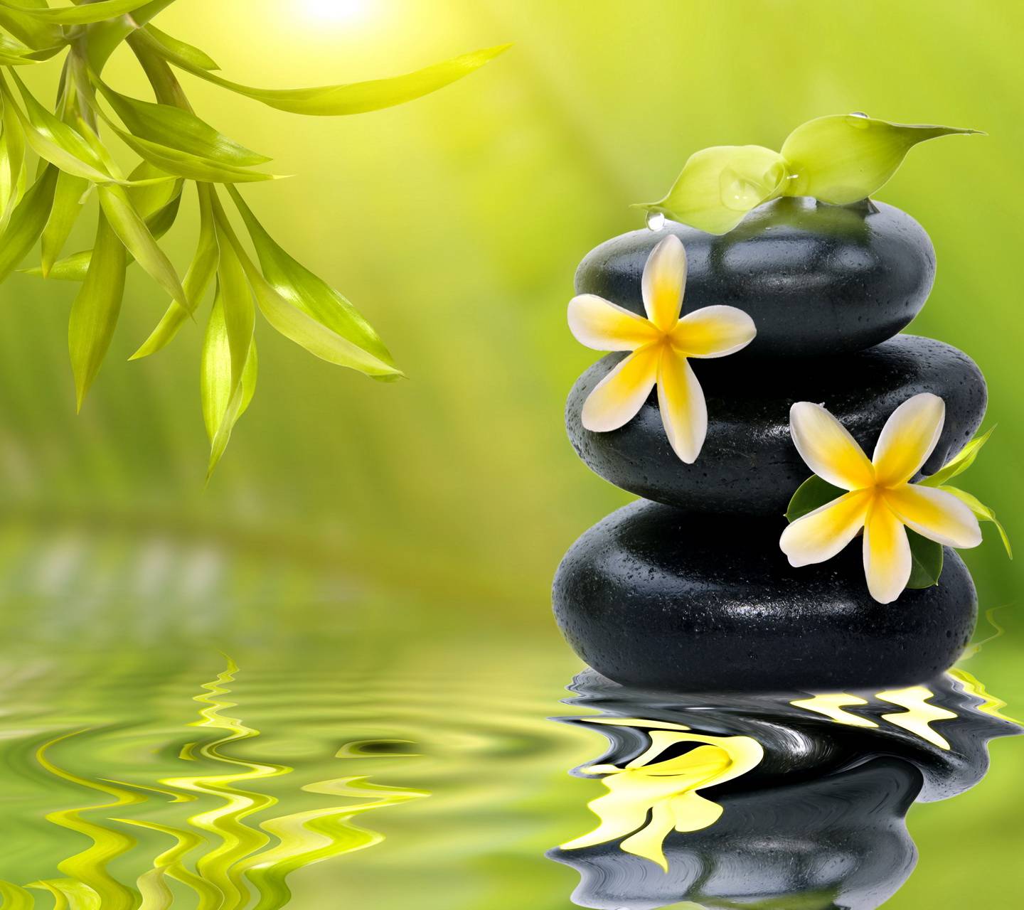 Zen Spa Wallpapers - Top Free Zen Spa Backgrounds - WallpaperAccess