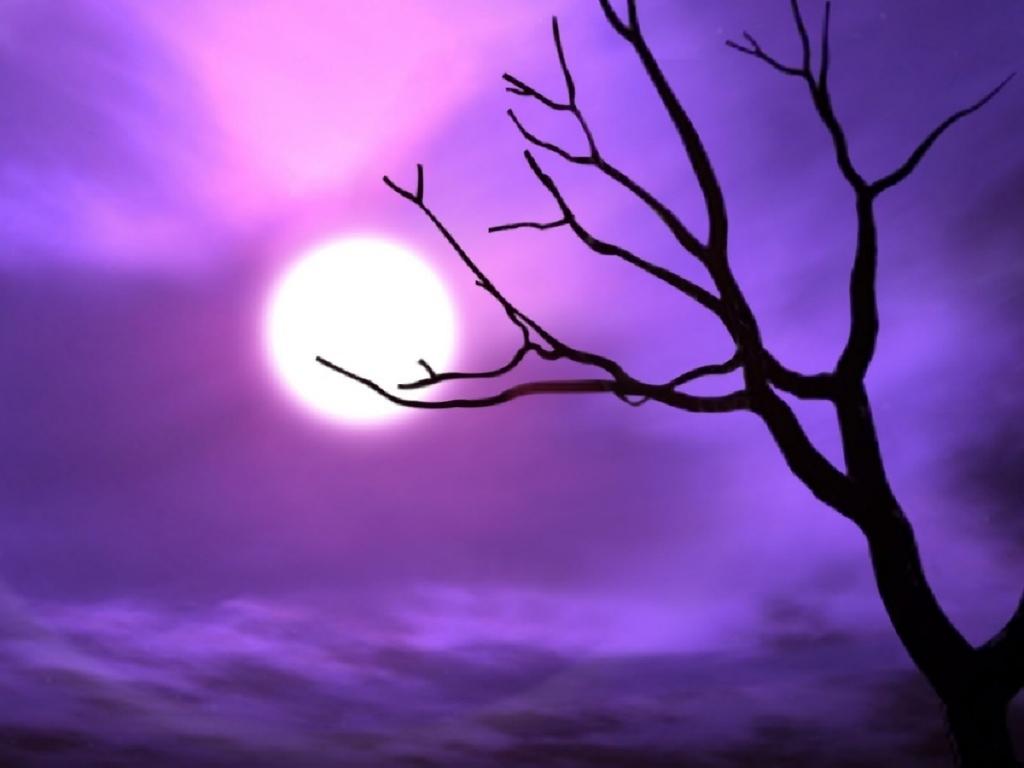 Cool And Cute Wallpapers - Top Free Cool And Cute Backgrounds ...