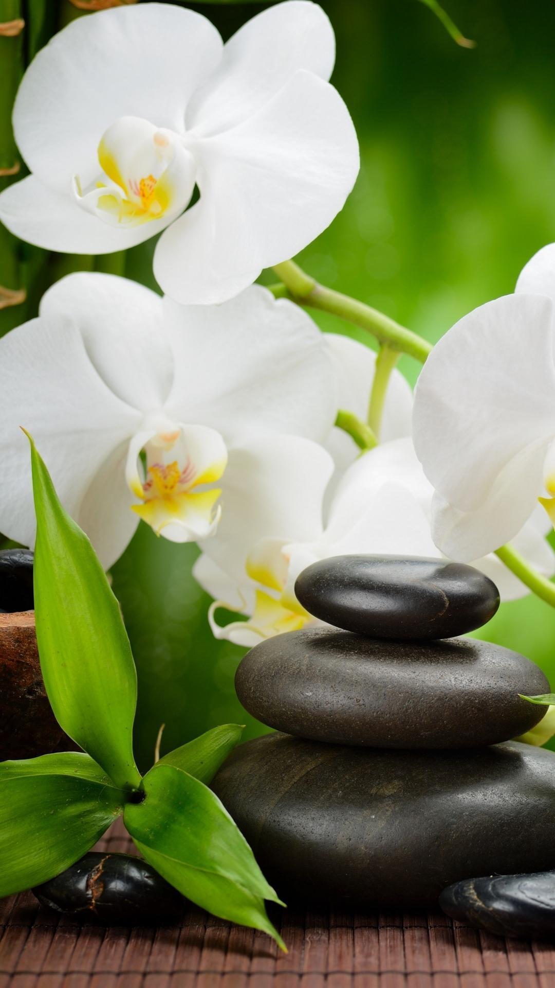 Zen Spa Wallpapers - Top Free Zen Spa Backgrounds - WallpaperAccess