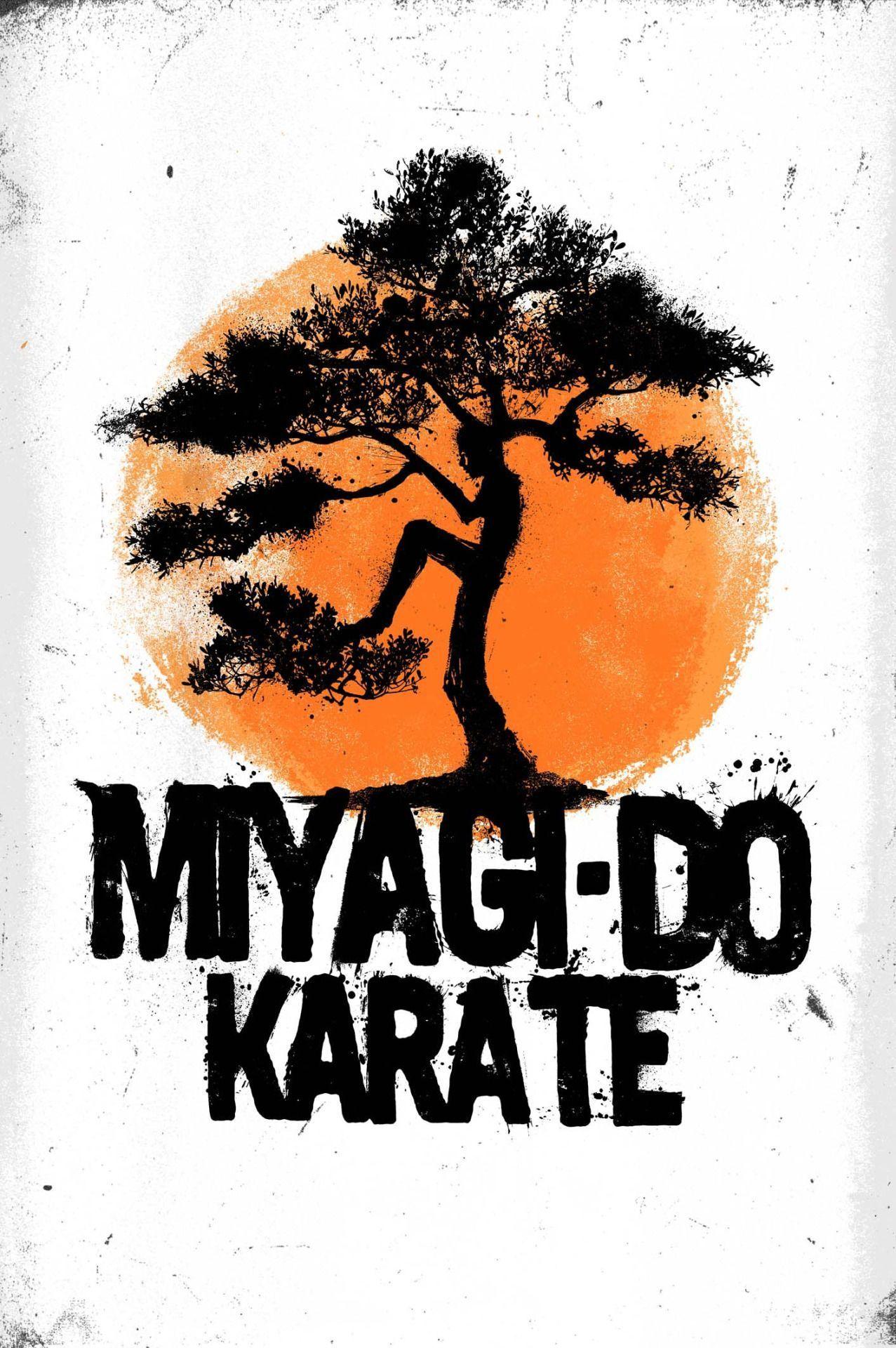 Miyagi-Do Wallpapers - Top Free Miyagi-Do Backgrounds - WallpaperAccess
