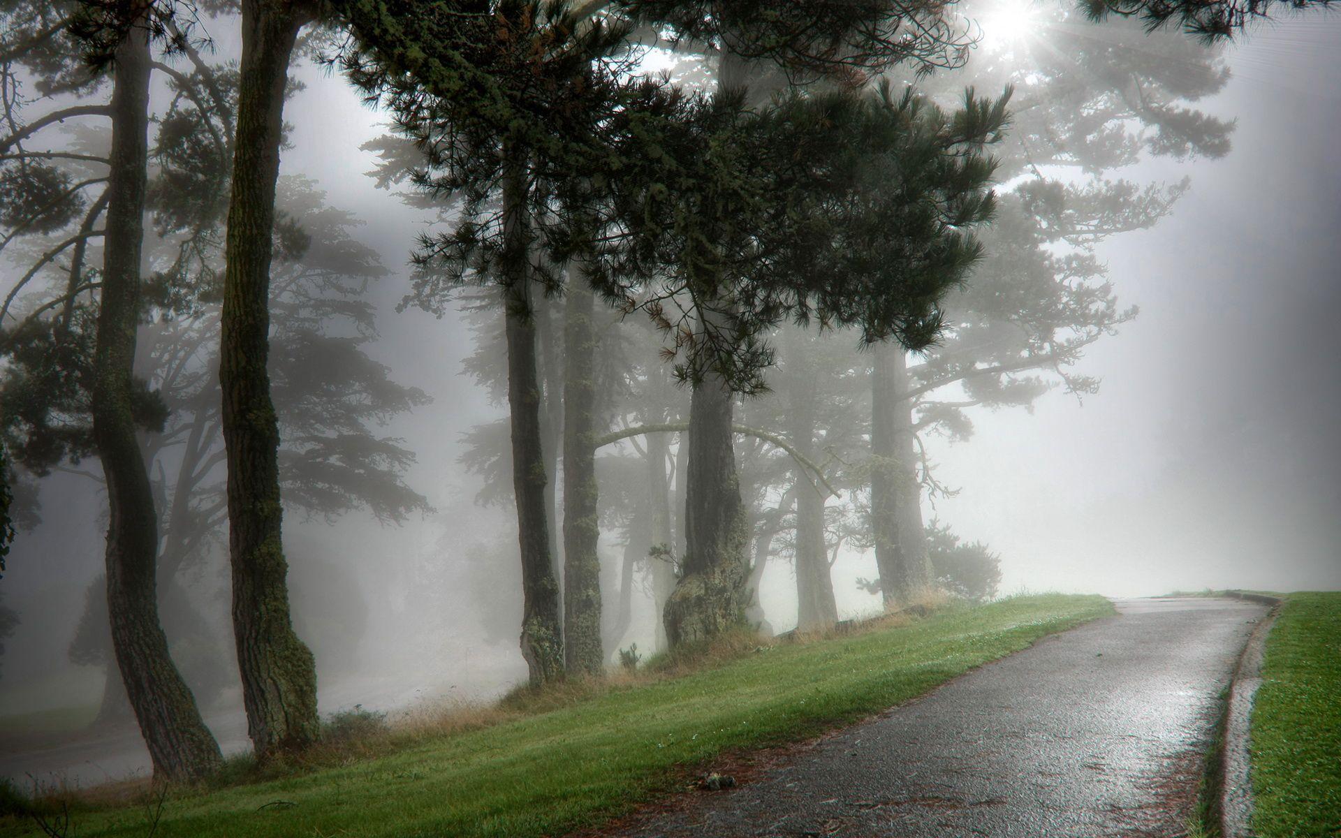 Pacific Northwest Fog Wallpapers - Top Free Pacific Northwest Fog ...