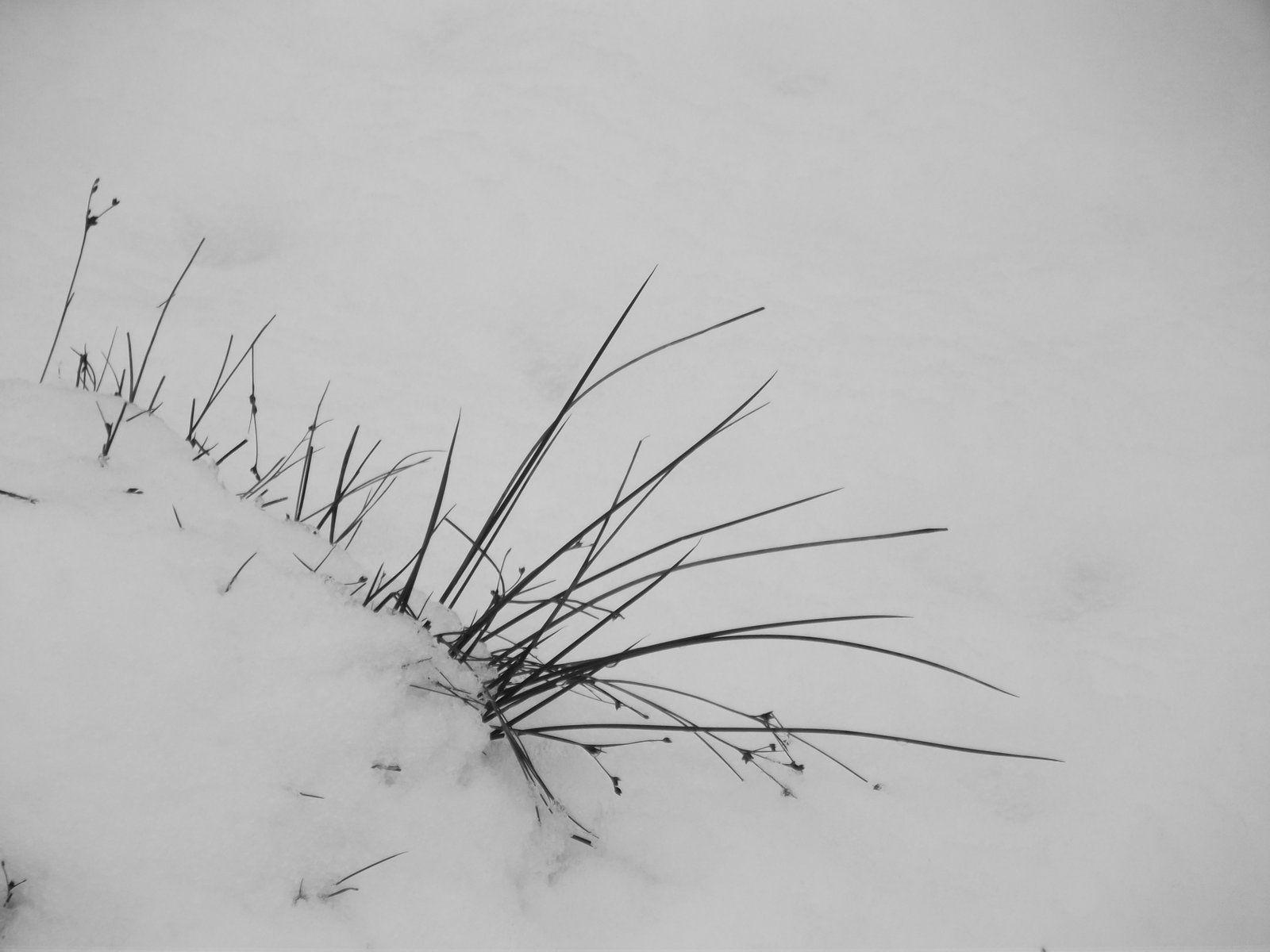 Sumi E Wallpapers - Top Free Sumi E Backgrounds - WallpaperAccess