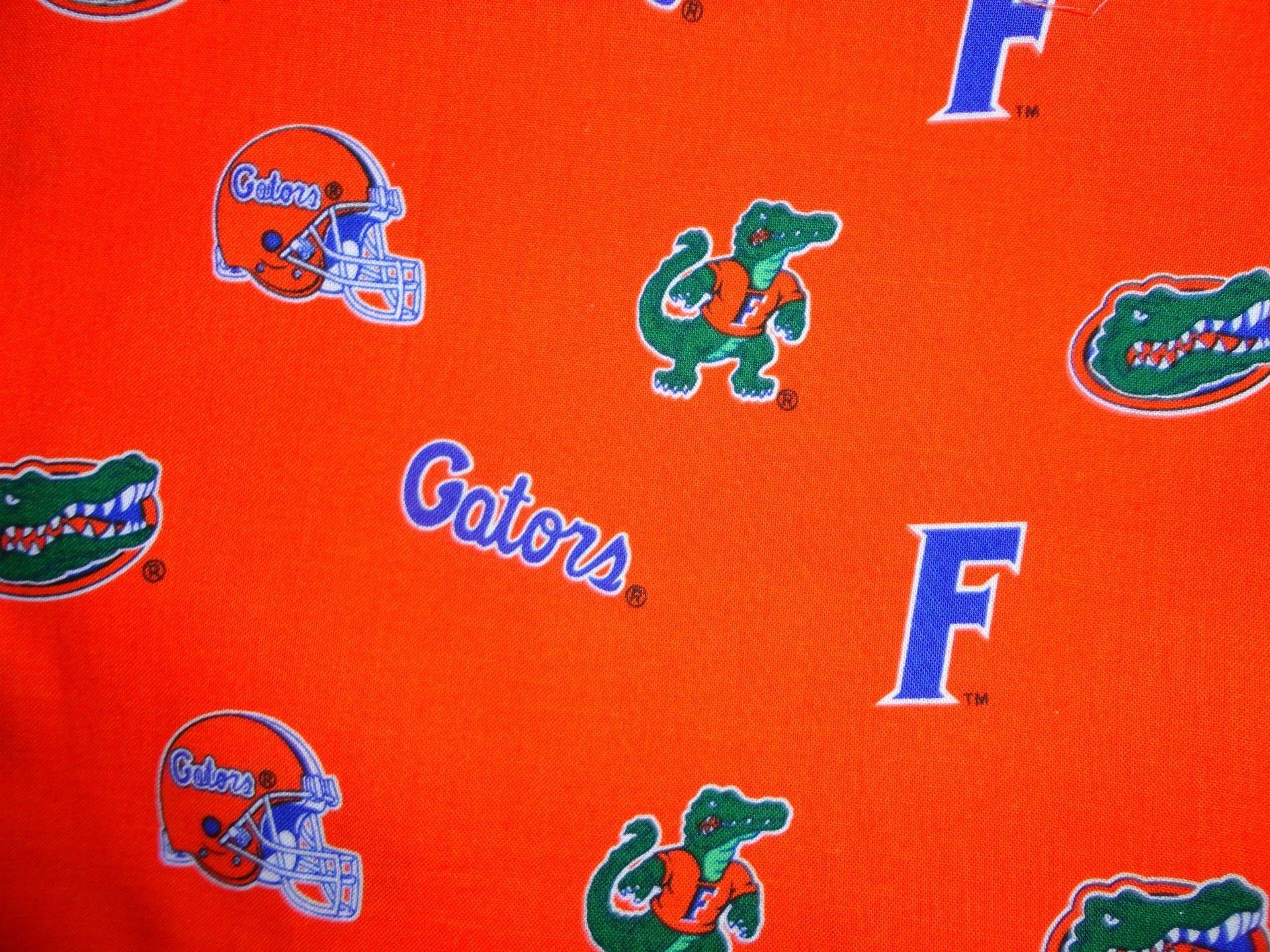 Florida Football Wallpapers - Top Free Florida Football Backgrounds ...