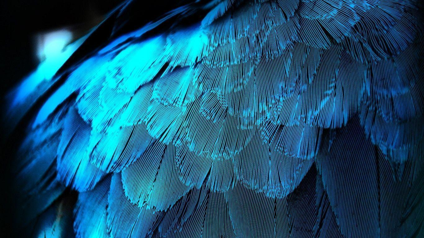 Electric Blue Desktop Wallpapers - Top Free Electric Blue Desktop ...