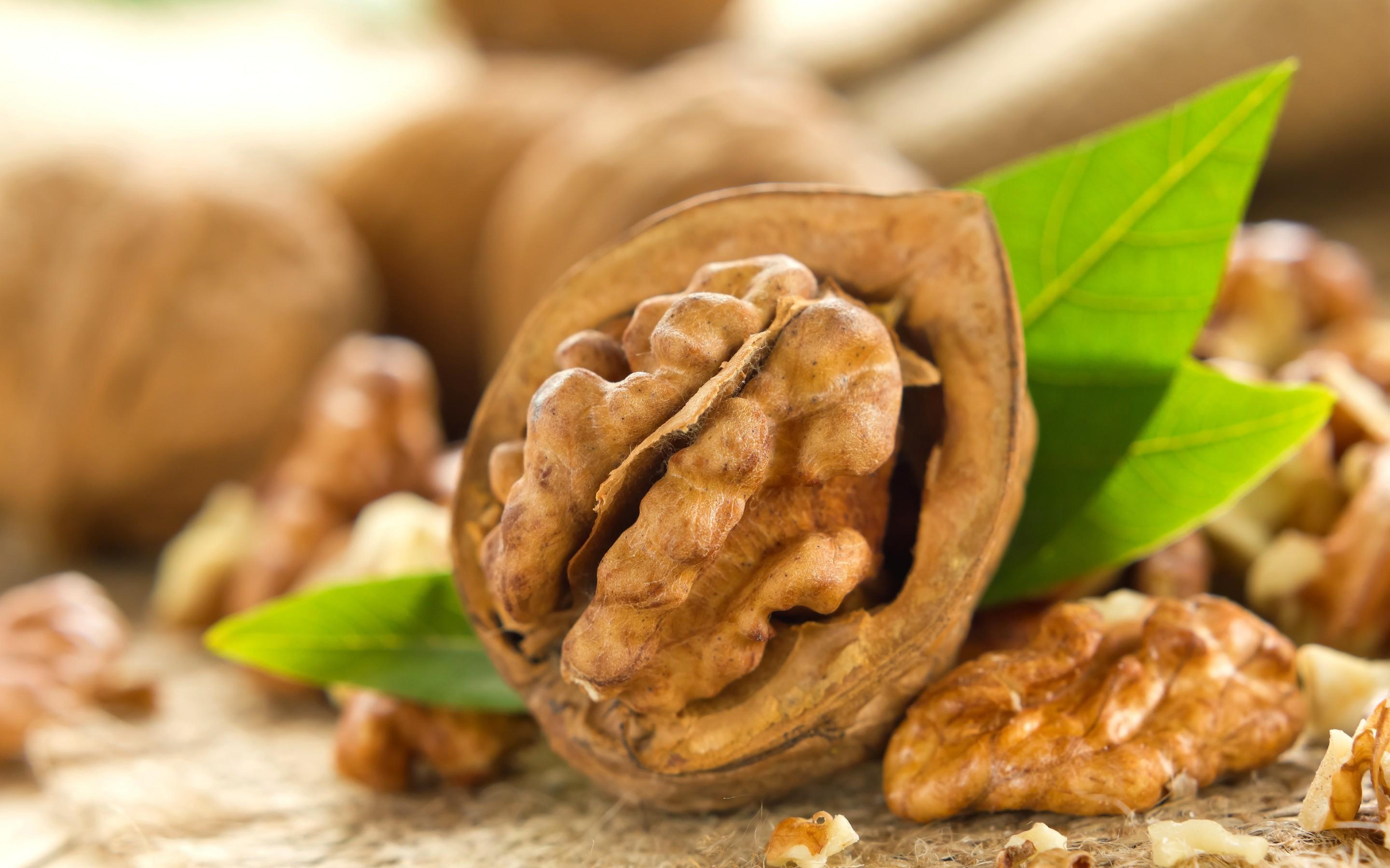 Walnut Wallpapers - Top Free Walnut Backgrounds - WallpaperAccess