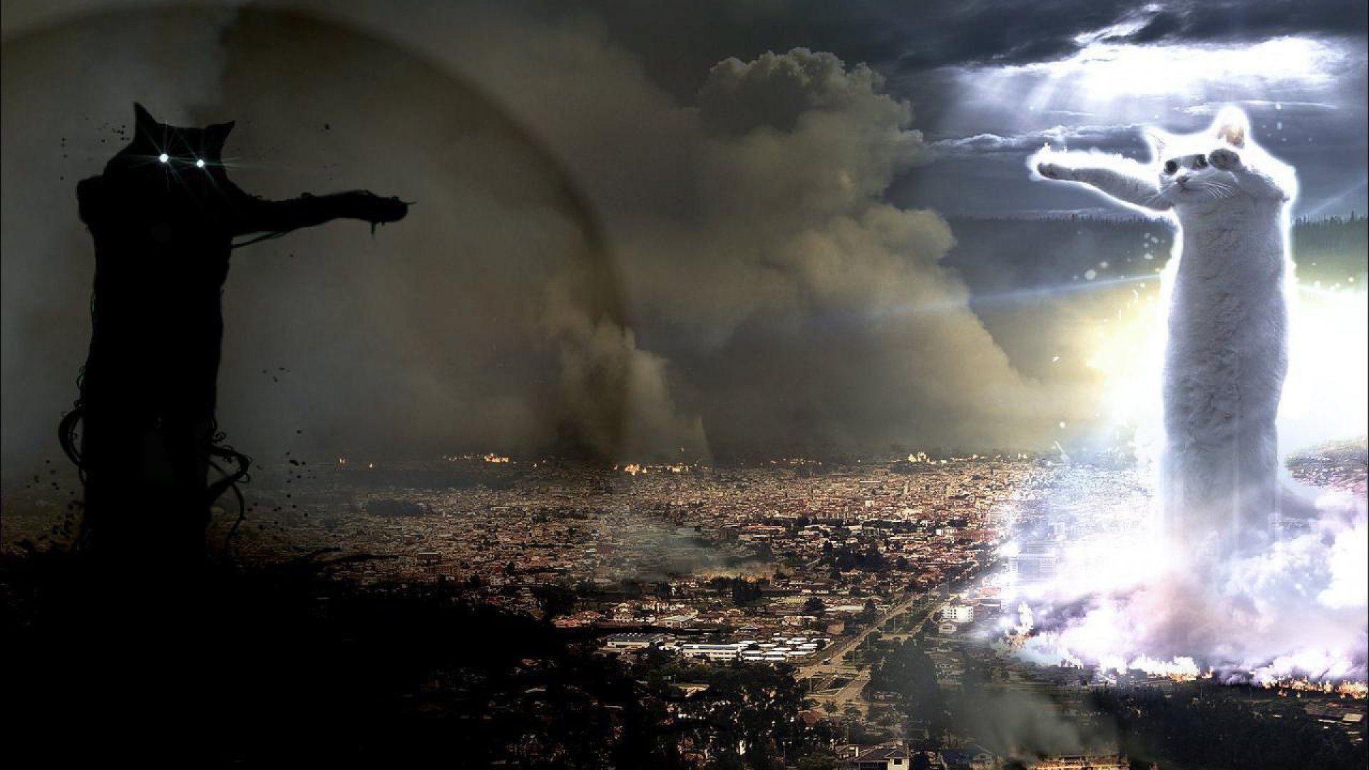 Evil Cat Wallpapers - Top Free Evil Cat Backgrounds - WallpaperAccess