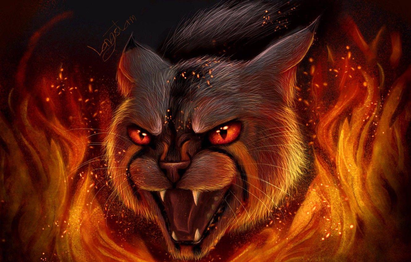 Evil Cat Wallpapers - Top Free Evil Cat Backgrounds - WallpaperAccess