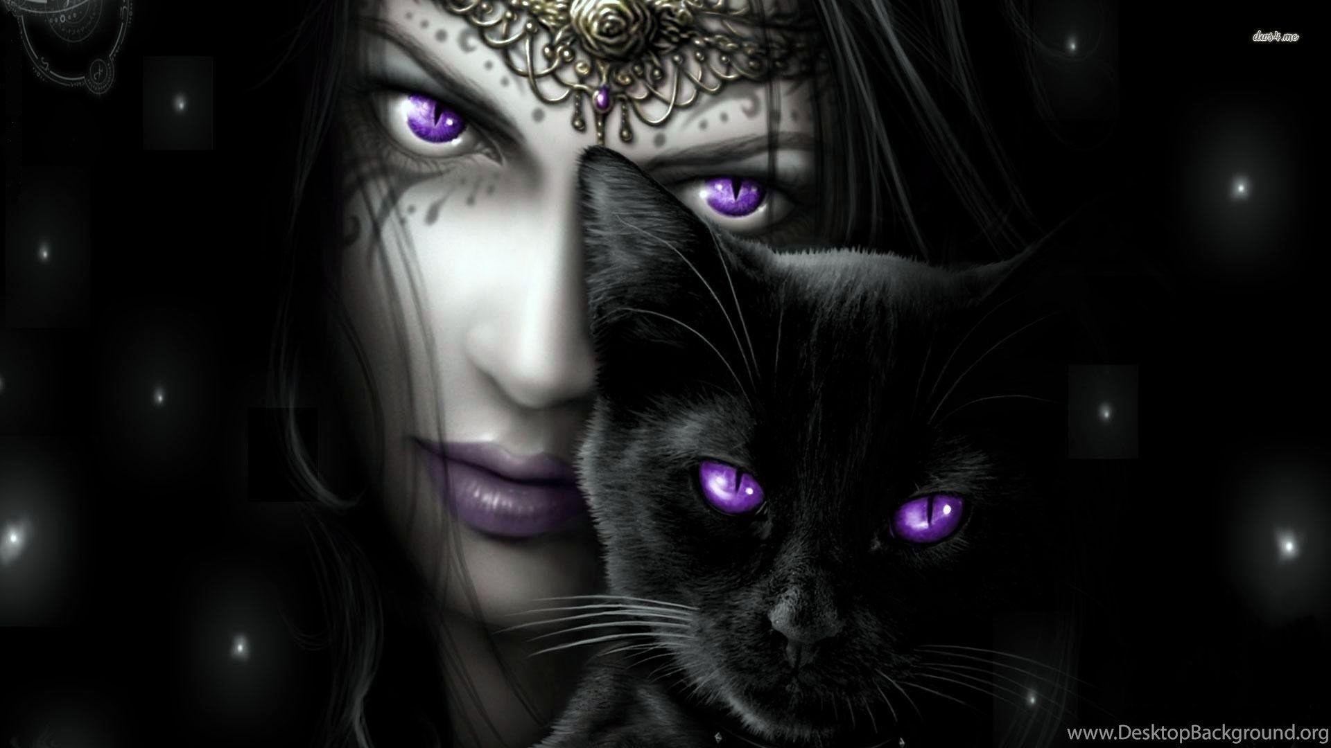 Evil Cat Wallpapers - Top Free Evil Cat Backgrounds - WallpaperAccess