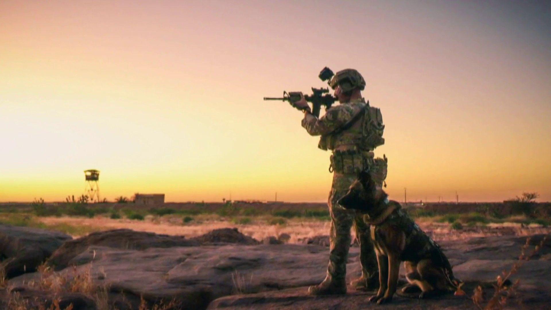 Military Dog Wallpapers - Top Free Military Dog Backgrounds ...