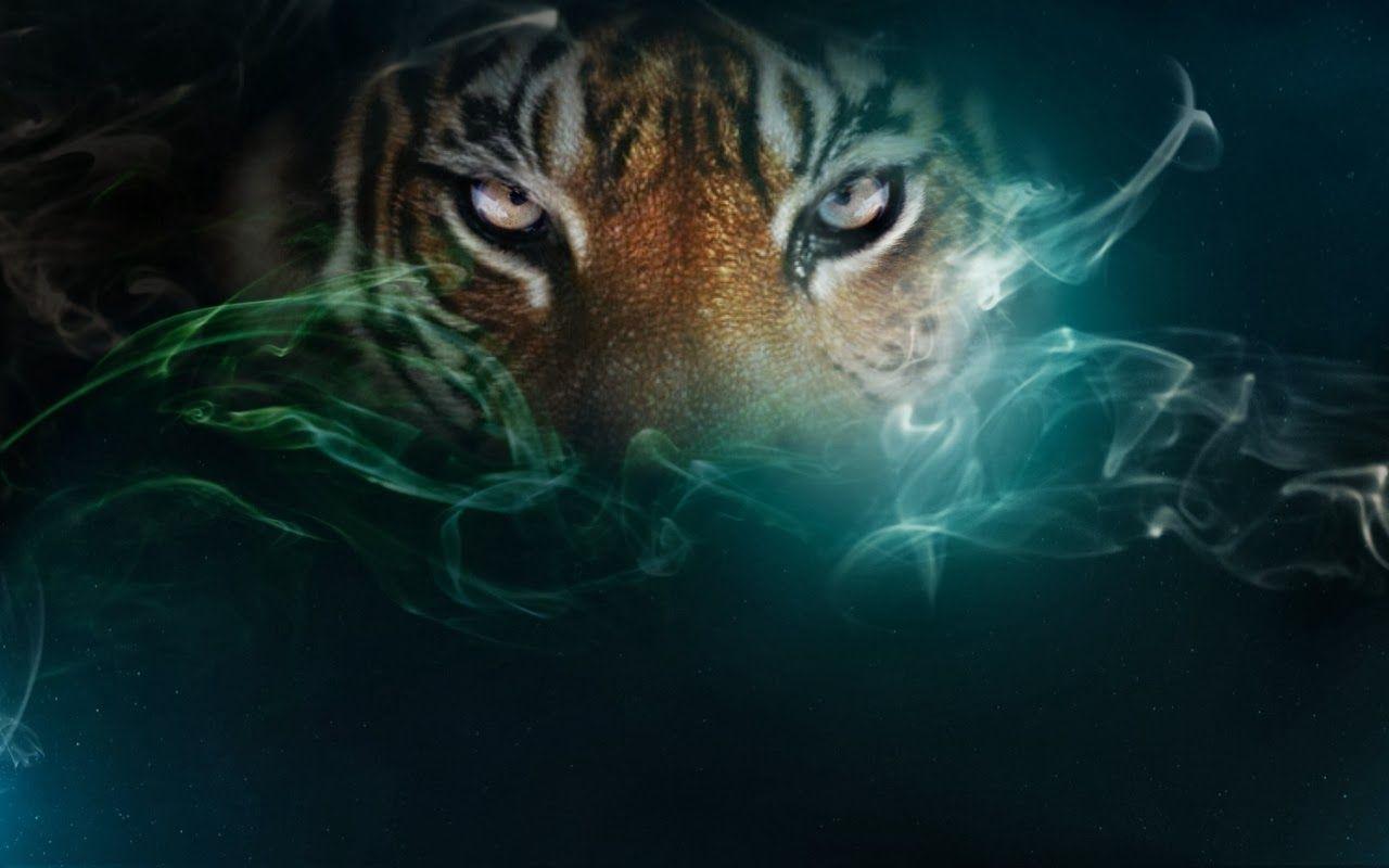 Space Tiger Wallpapers - Top Free Space Tiger Backgrounds - WallpaperAccess
