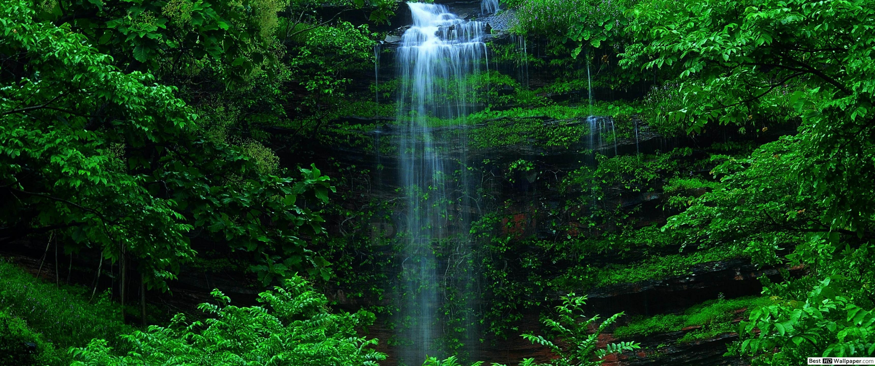 Forest Waterfall Desktop Wallpapers - Top Free Forest Waterfall Desktop ...