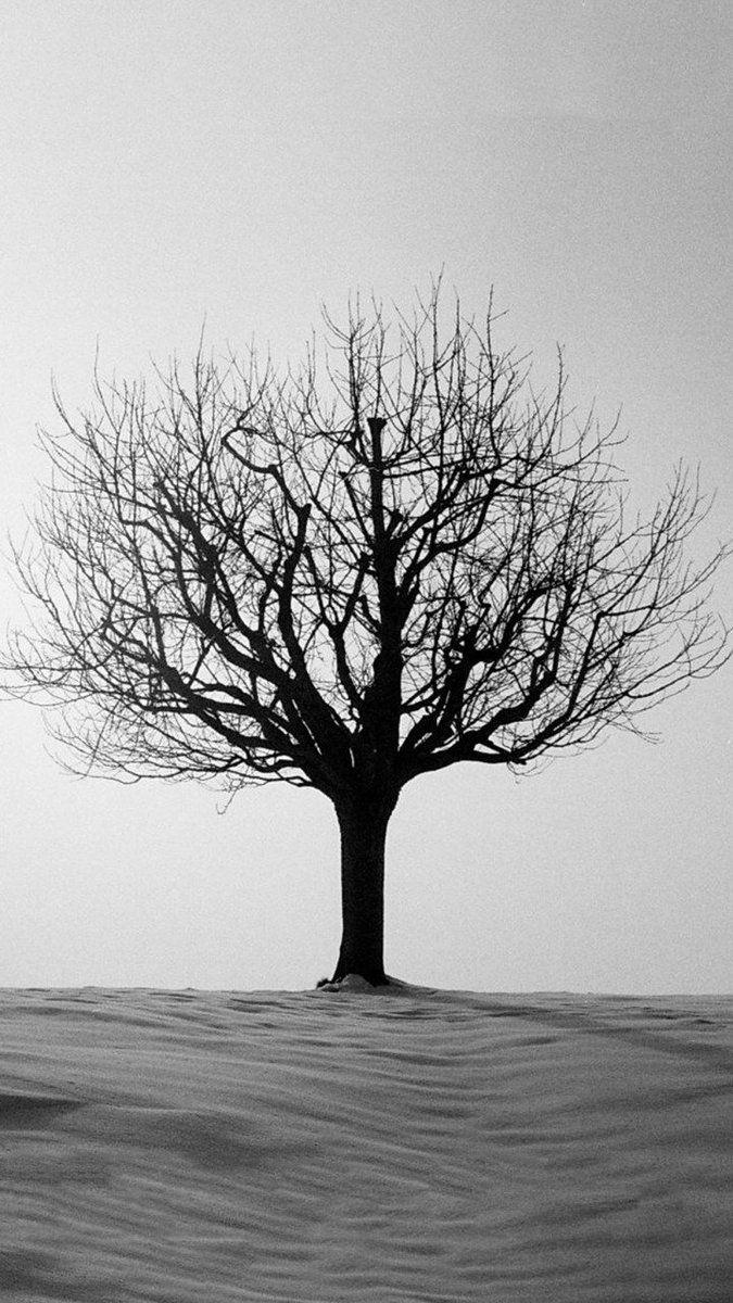 Black Alone Wallpapers - Top Free Black Alone Backgrounds - WallpaperAccess