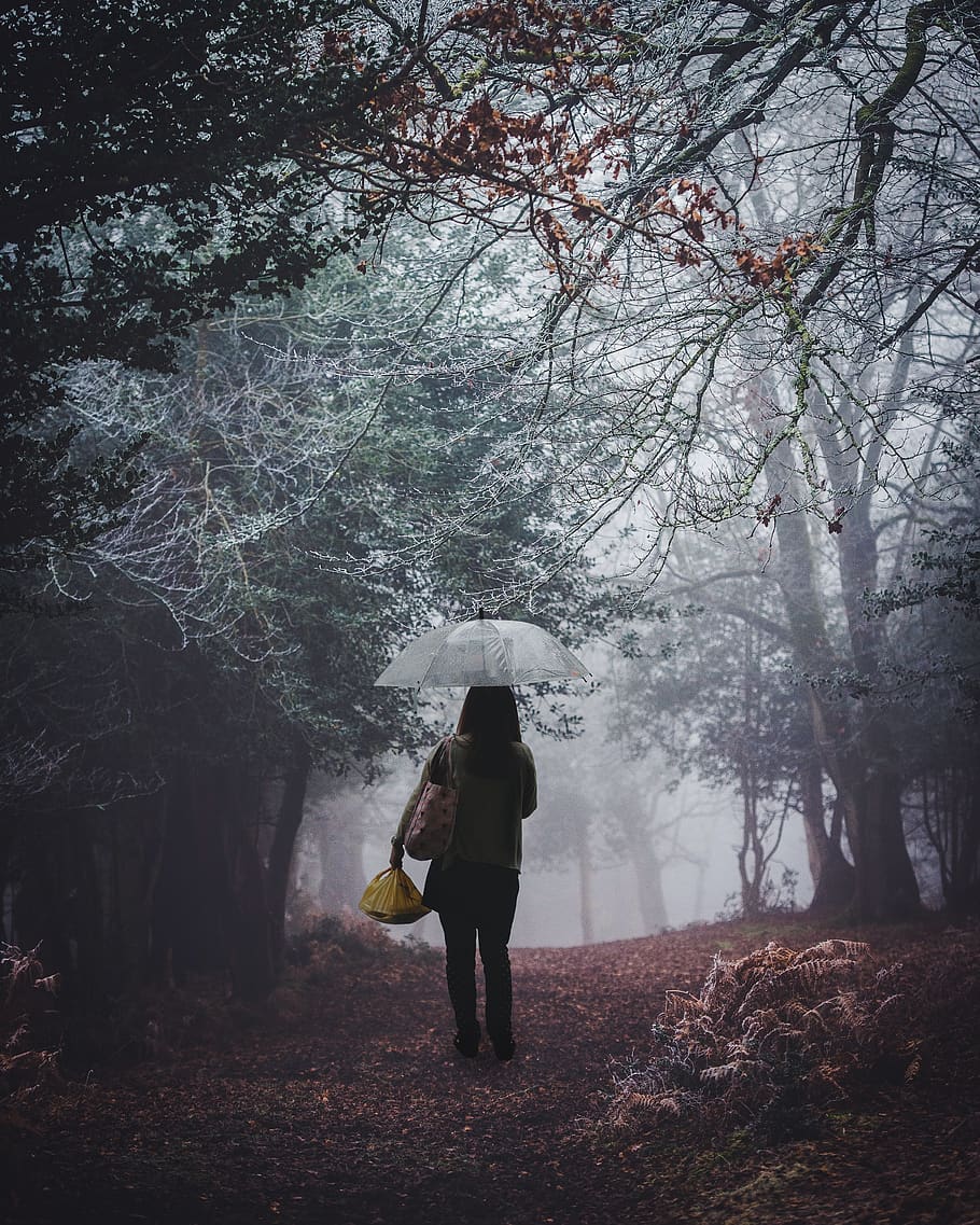 Alone Nature Wallpapers - Top Free Alone Nature Backgrounds ...