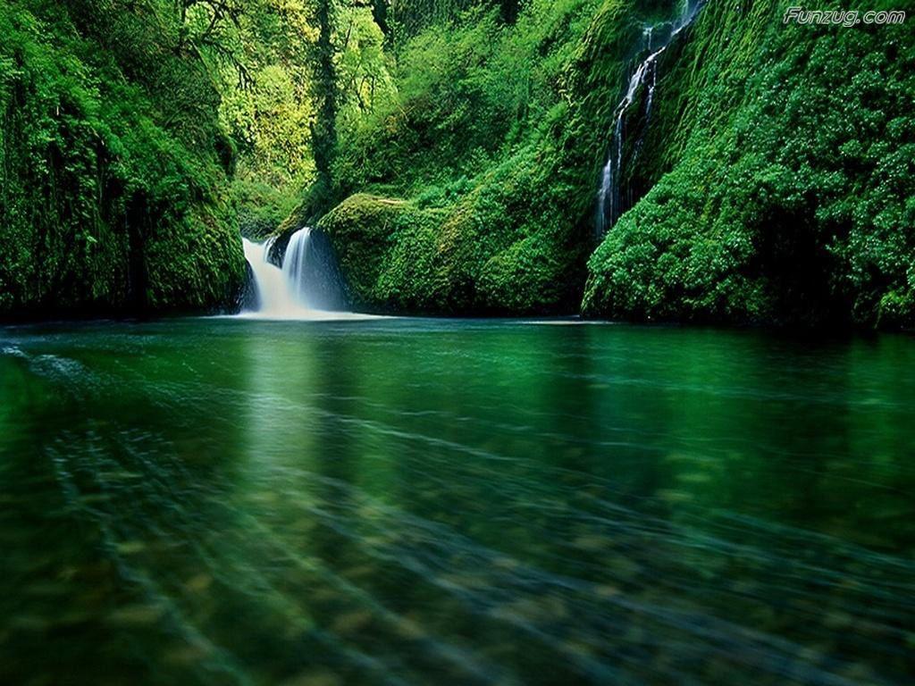 Alone Nature Wallpapers - Top Free Alone Nature Backgrounds ...