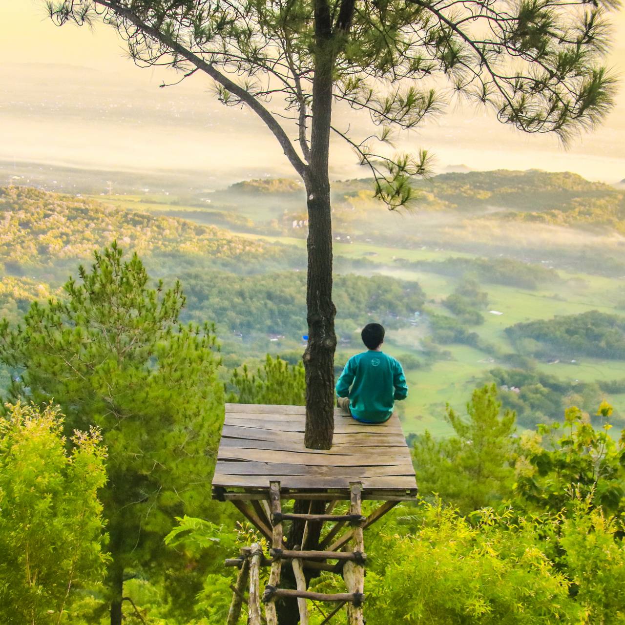 Alone Nature Wallpapers - Top Free Alone Nature Backgrounds ...