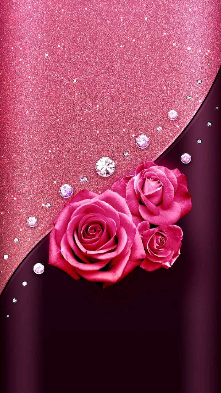 Magenta Roses Wallpapers - Top Free Magenta Roses Backgrounds ...