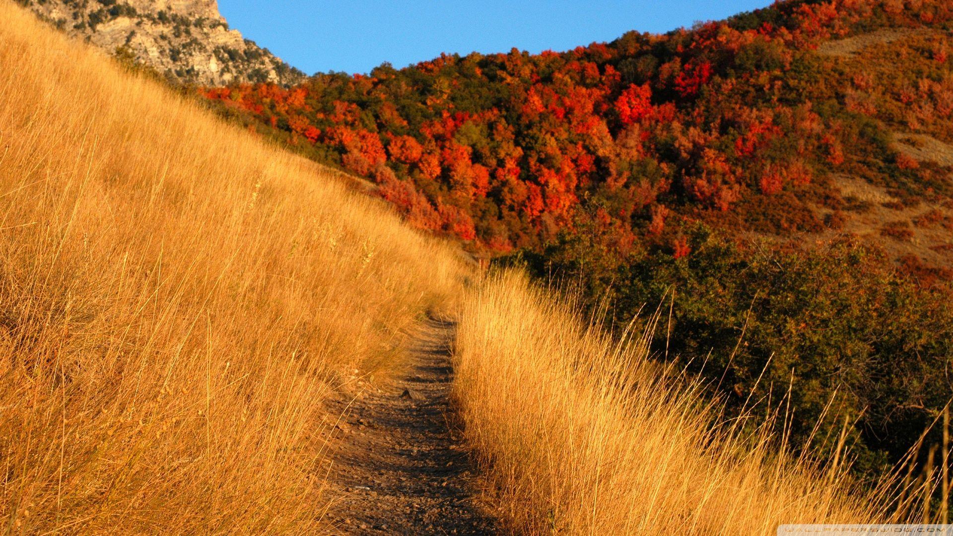 Autumn Trail Wallpapers - Top Free Autumn Trail Backgrounds ...