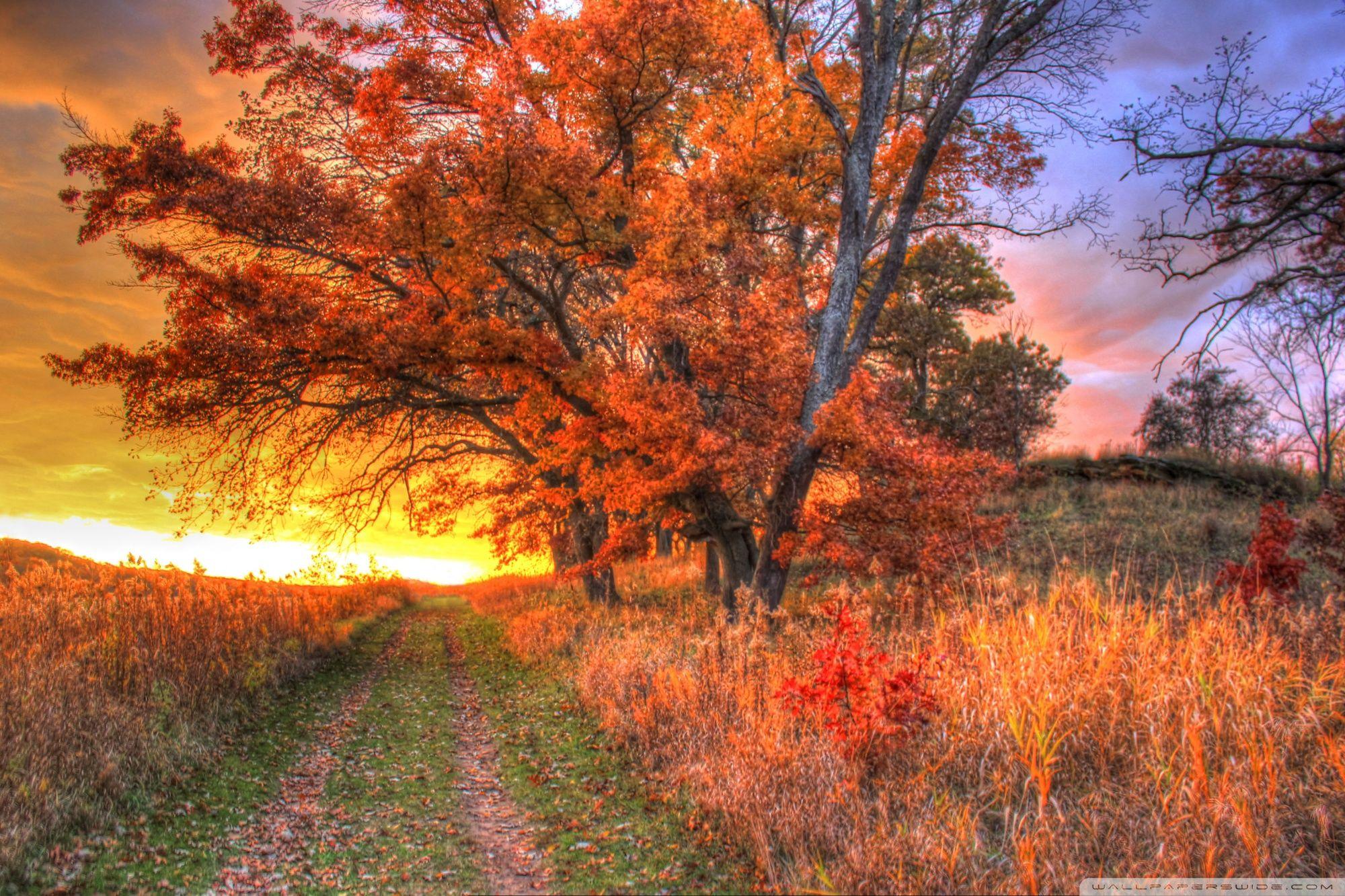 Hiking Trail Wallpapers - Top Free Hiking Trail Backgrounds ...