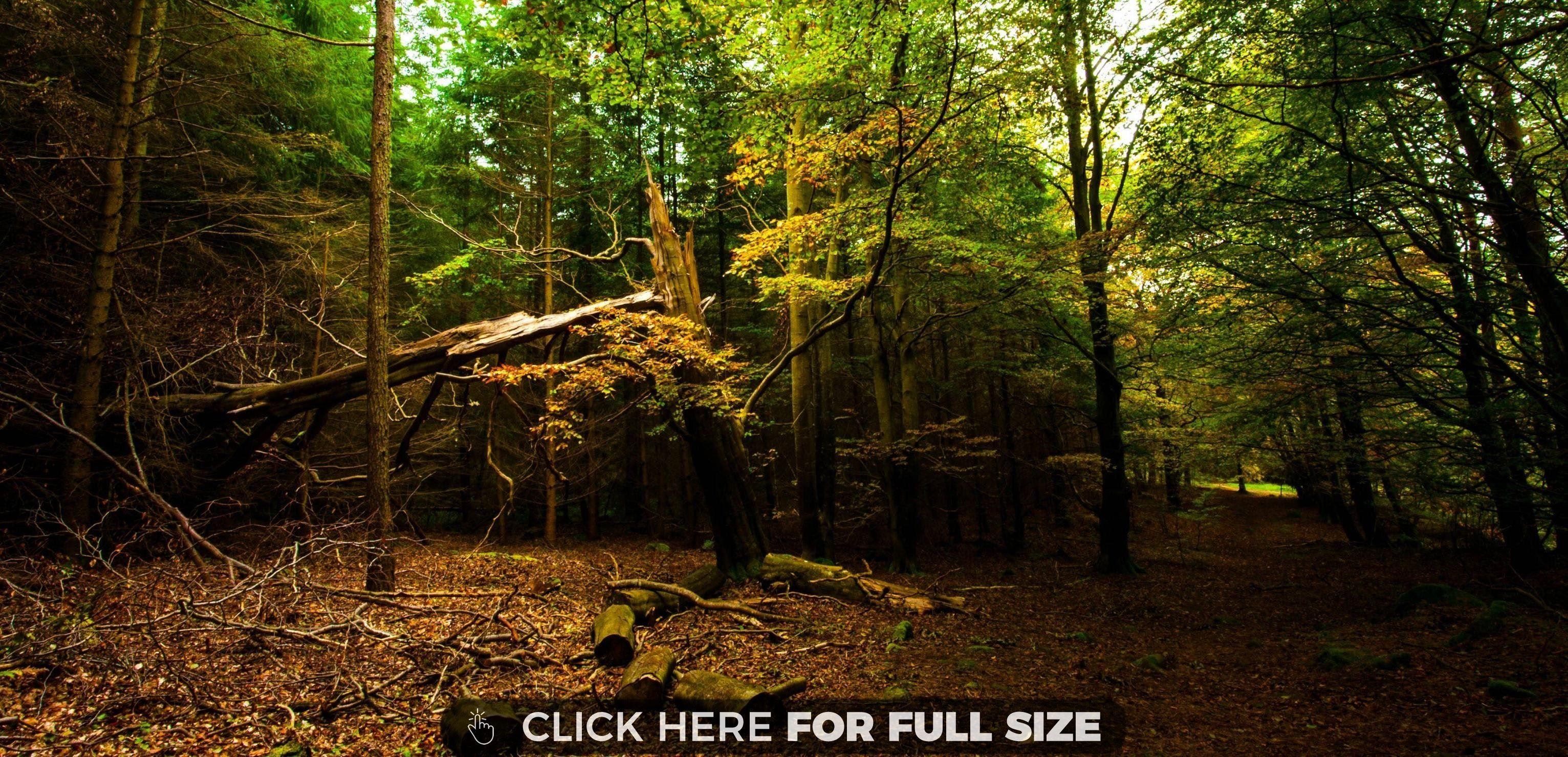 Hiking Trail Wallpapers - Top Free Hiking Trail Backgrounds ...