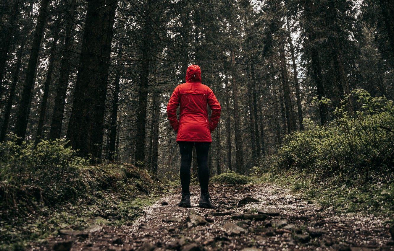 Hiking Trail Wallpapers - Top Free Hiking Trail Backgrounds ...