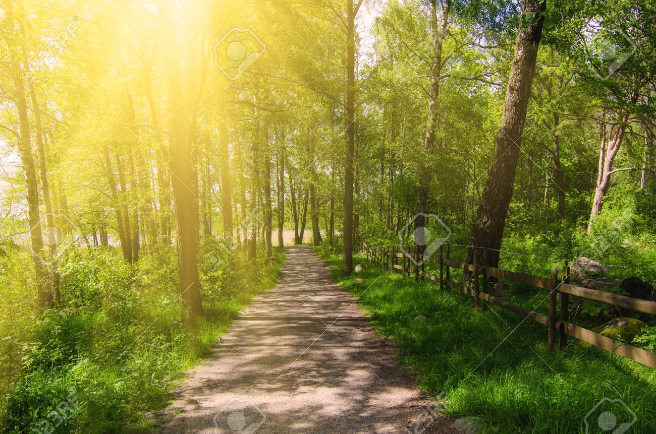 Hiking Trail Wallpapers - Top Free Hiking Trail Backgrounds ...