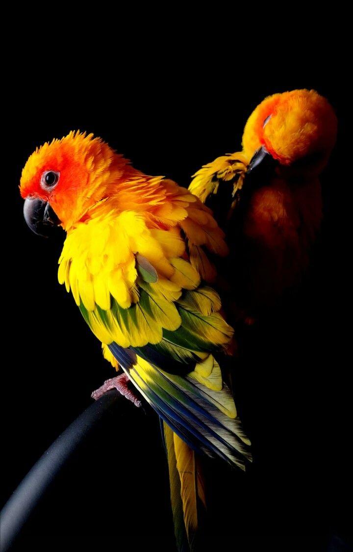 Very Nice Wallpapers - Top Free Very Nice Backgrounds - WallpaperAccess