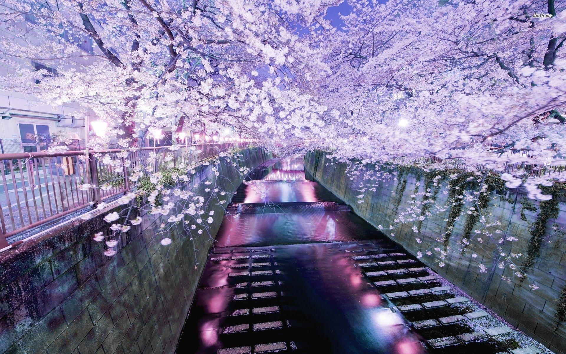 Tokyo Desktop Wallpapers - Top Free Tokyo Desktop Backgrounds ...