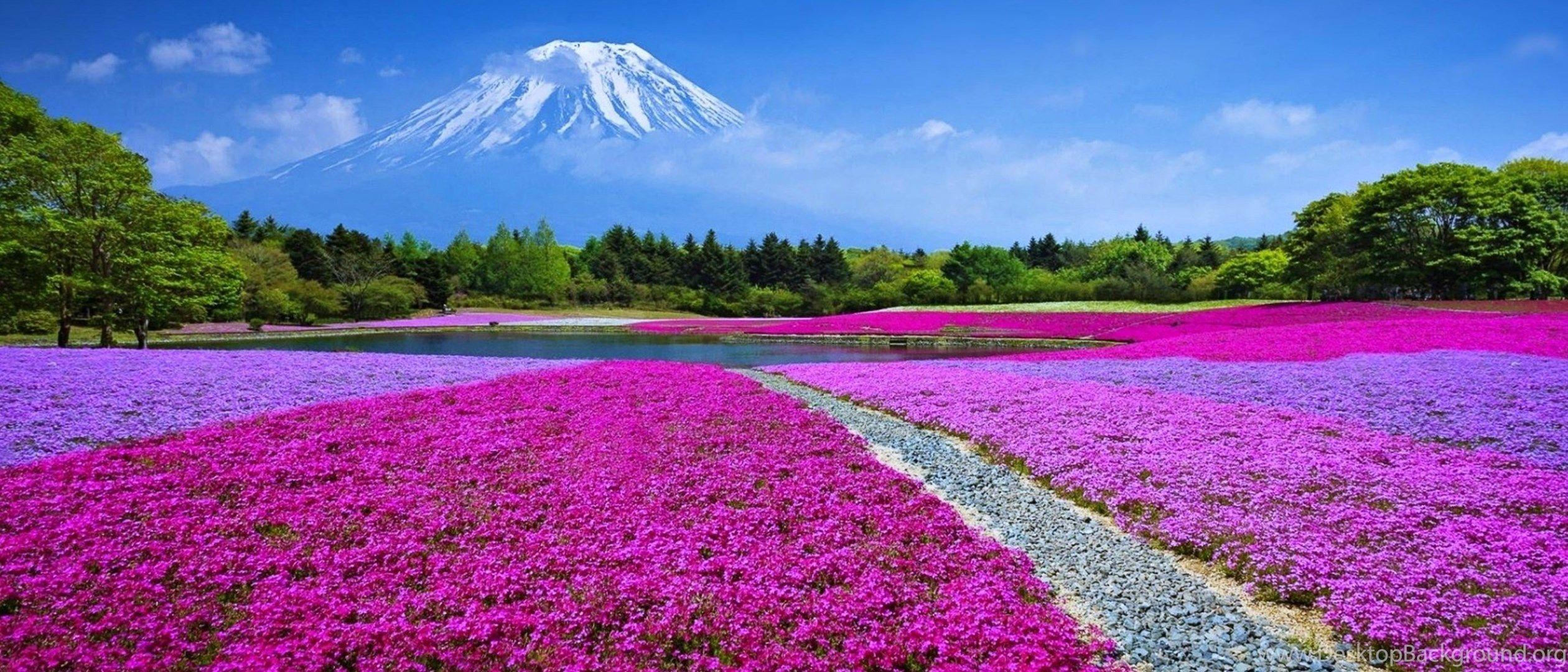 Spring Dual Monitor Wallpapers - Top Free Spring Dual Monitor ...