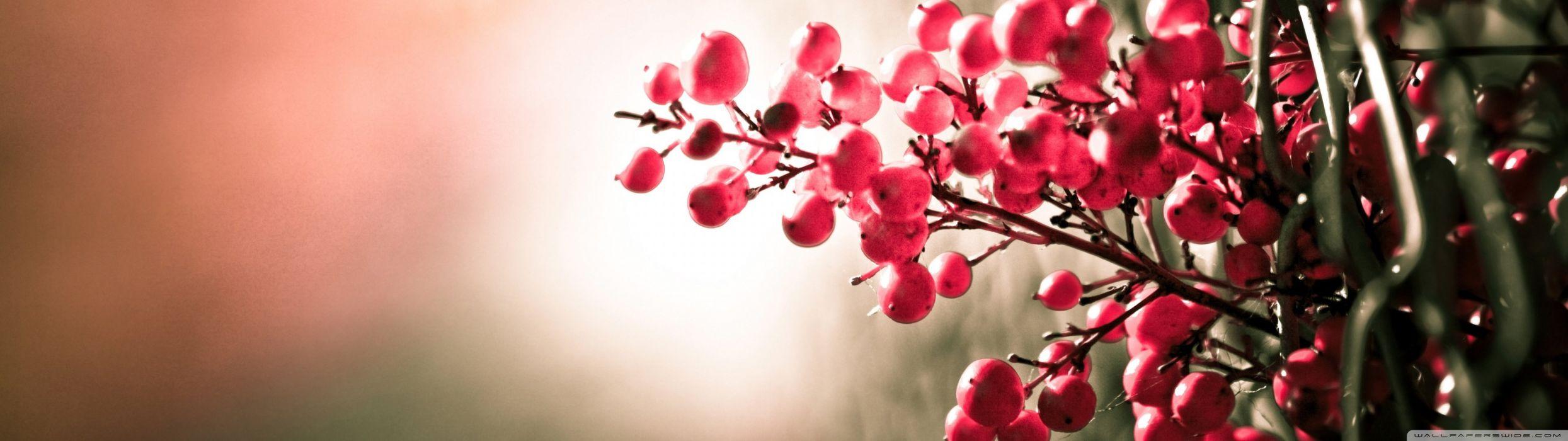 Spring Dual Monitor Wallpapers - Top Free Spring Dual Monitor ...