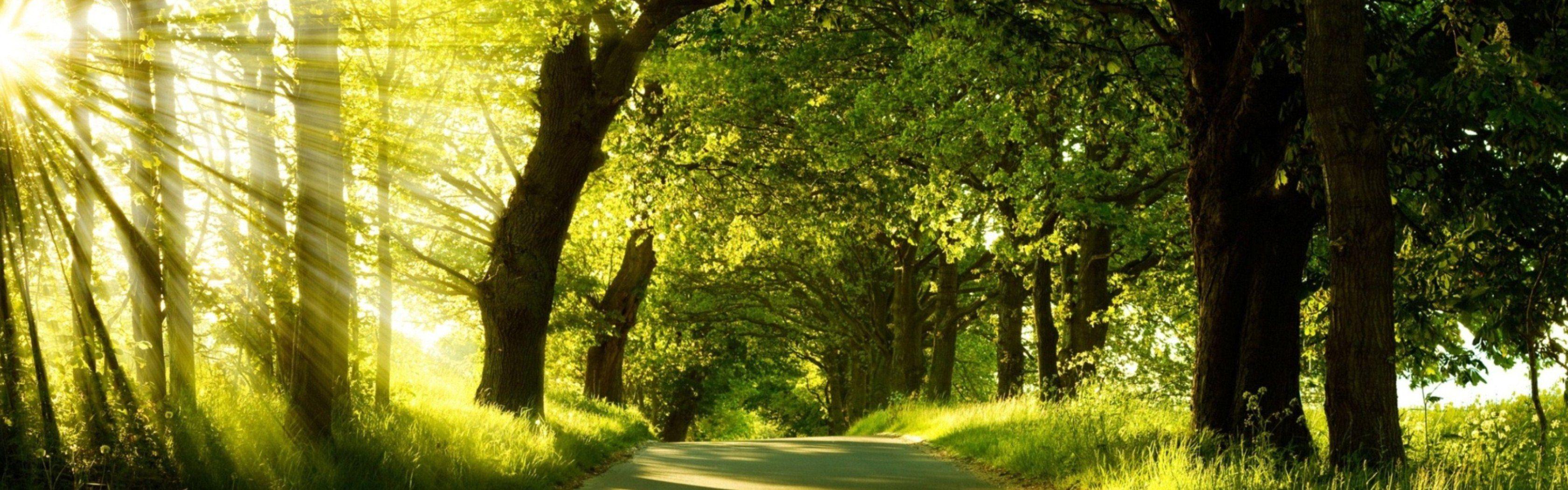 Spring Dual Monitor Wallpapers - Top Free Spring Dual Monitor ...