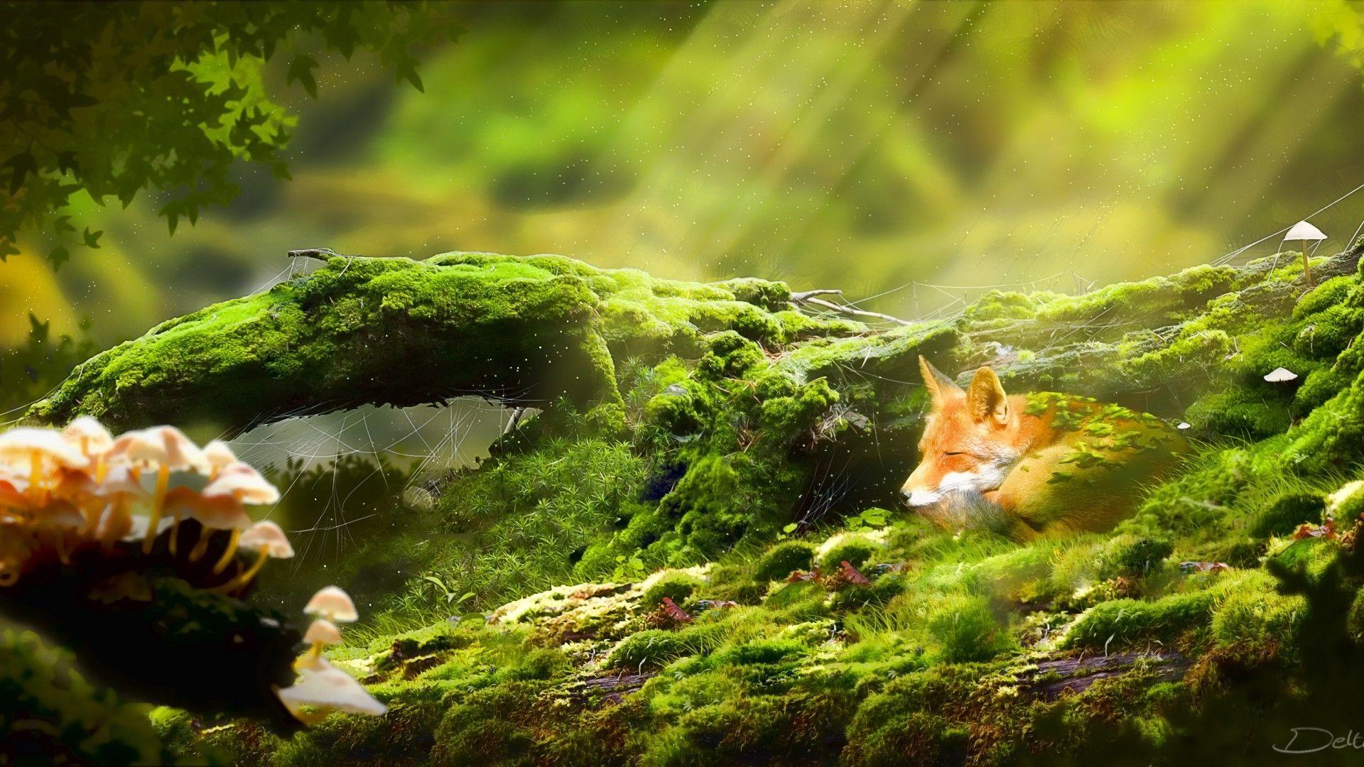 Cute Relaxing Wallpapers - Top Free Cute Relaxing Backgrounds ...