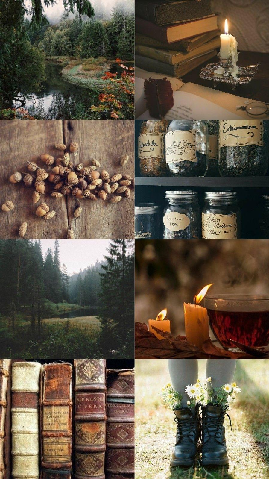 Witchcraft Aesthetic Wallpapers - Top Free Witchcraft Aesthetic ...