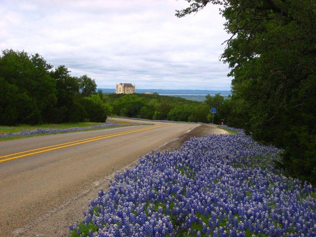 Texas Bluebonnets Wallpapers - Top Free Texas Bluebonnets Backgrounds ...