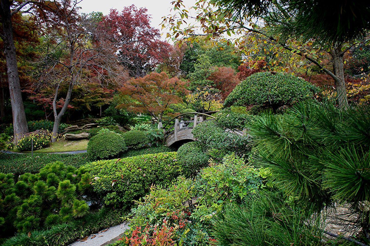 Fort Worth Wallpapers - Top Free Fort Worth Backgrounds - WallpaperAccess