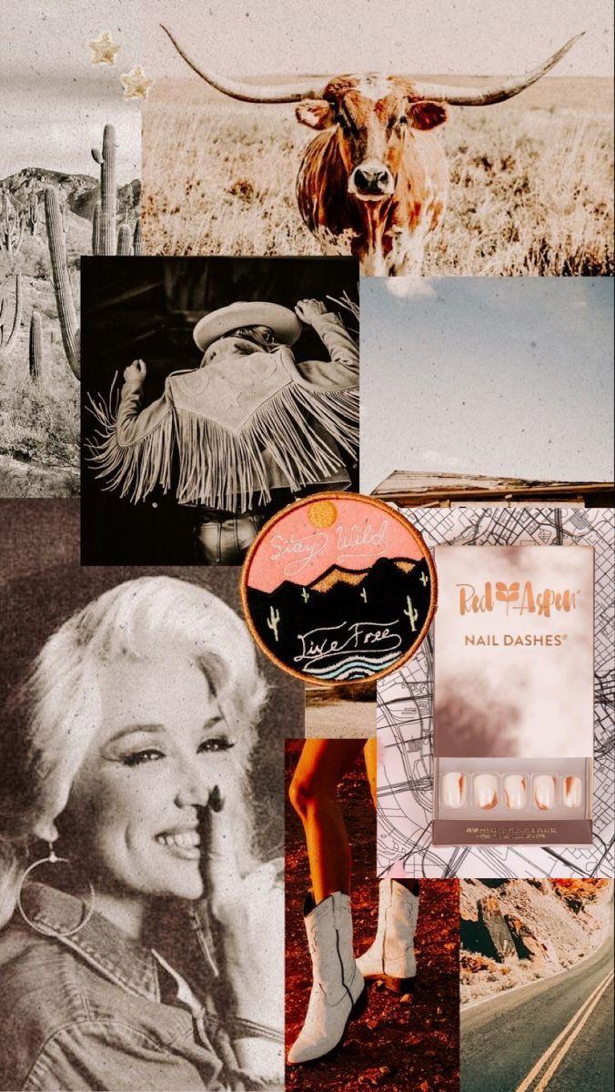 Horse Collage Wallpapers - Top Free Horse Collage Backgrounds ...