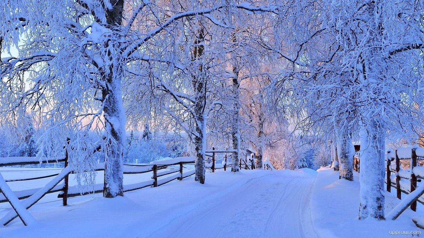 Snowy Winter Wallpapers - Top Free Snowy Winter Backgrounds ...