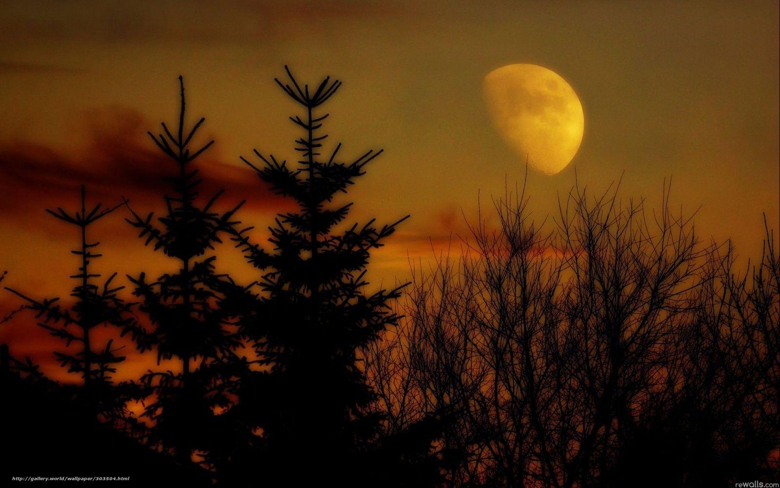 Autumn Moon Wallpapers - Top Free Autumn Moon Backgrounds - WallpaperAccess