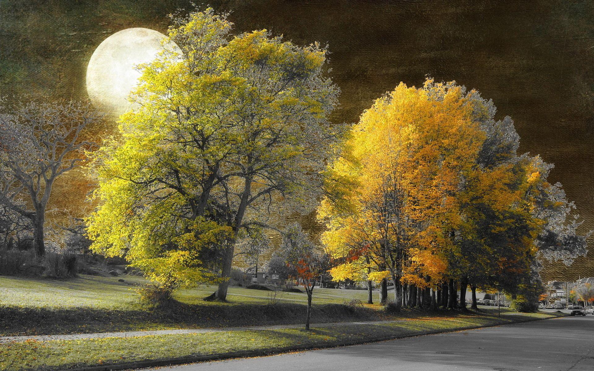 Autumn Moon Wallpapers - Top Free Autumn Moon Backgrounds - WallpaperAccess
