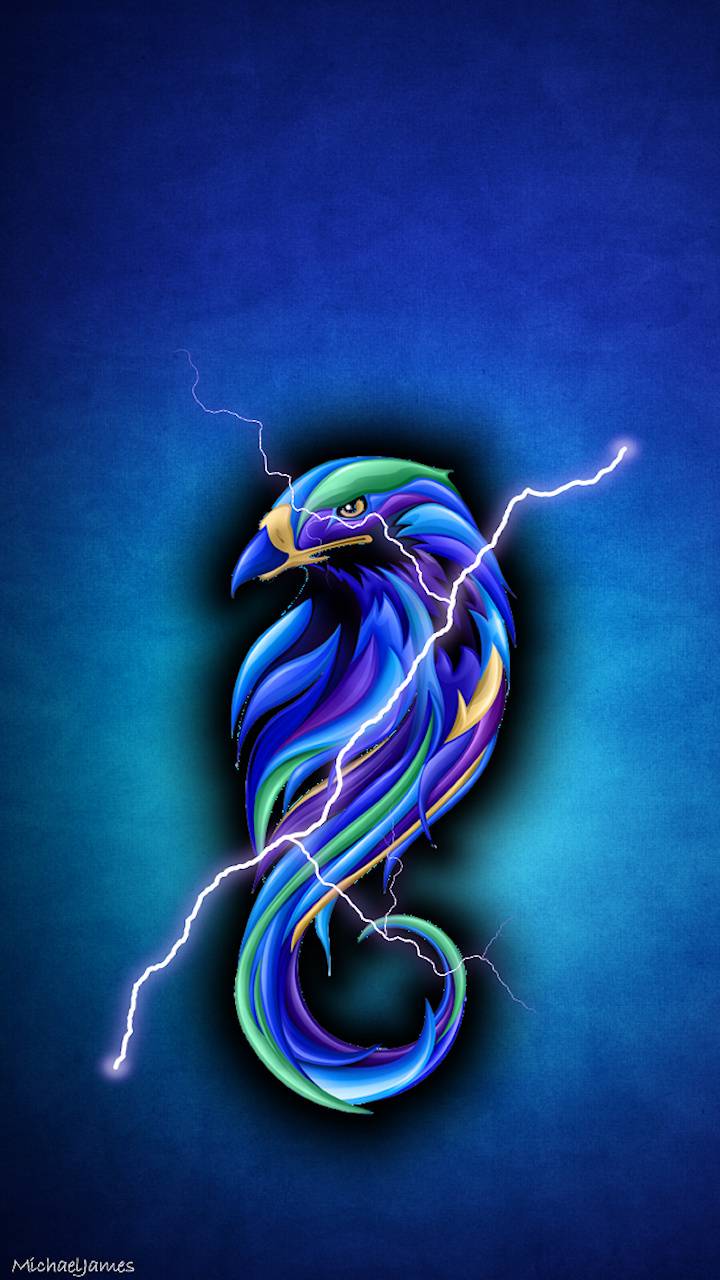 Cool Hawk Wallpapers - Top Free Cool Hawk Backgrounds - WallpaperAccess