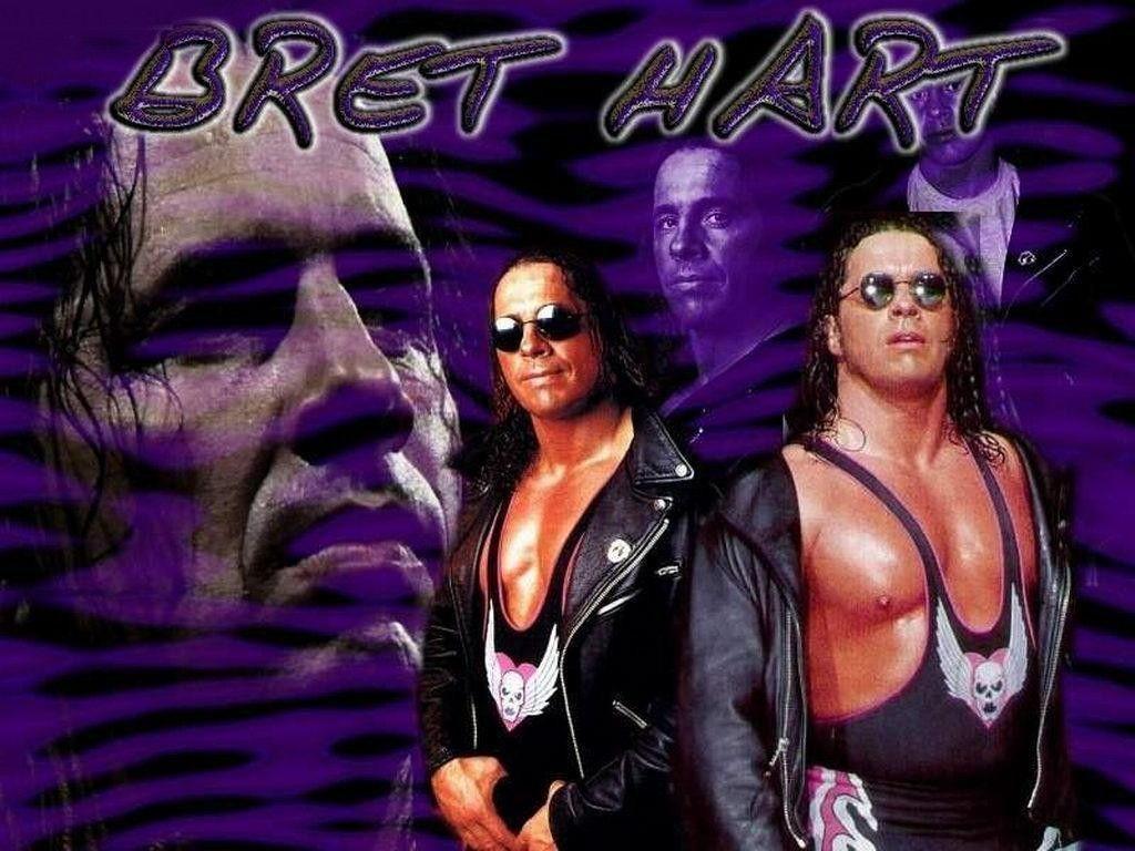 Bret Hart Wallpapers - Top Free Bret Hart Backgrounds - WallpaperAccess