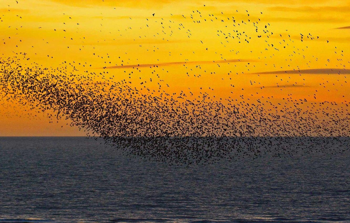 Blackpool Wallpapers - Top Free Blackpool Backgrounds - WallpaperAccess