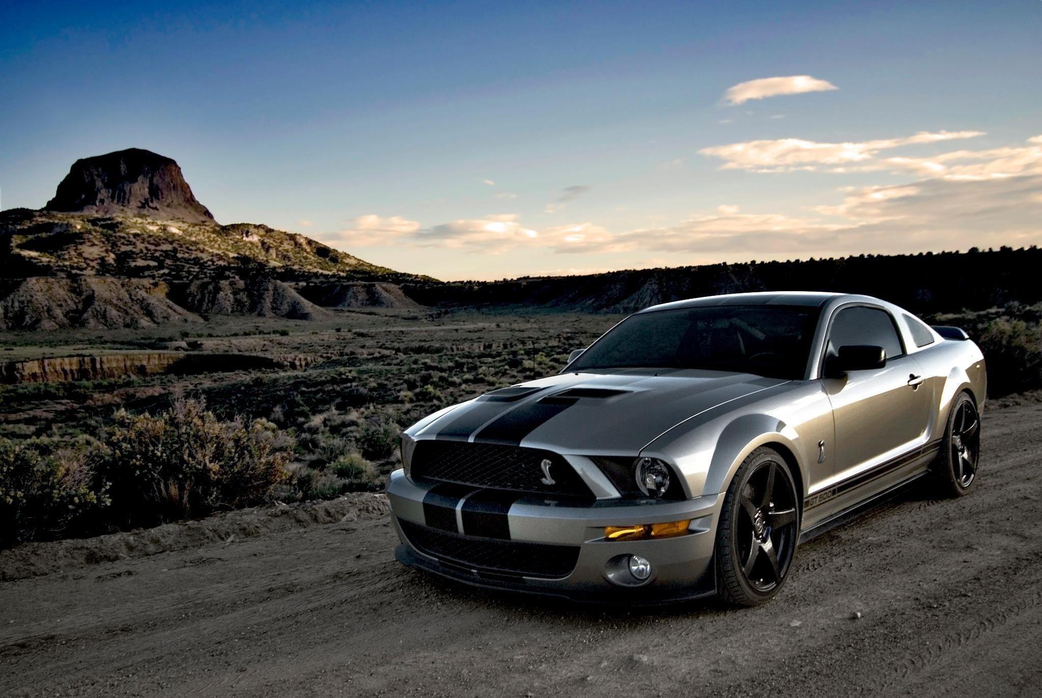 Silver Mustang Wallpapers - Top Free Silver Mustang Backgrounds ...